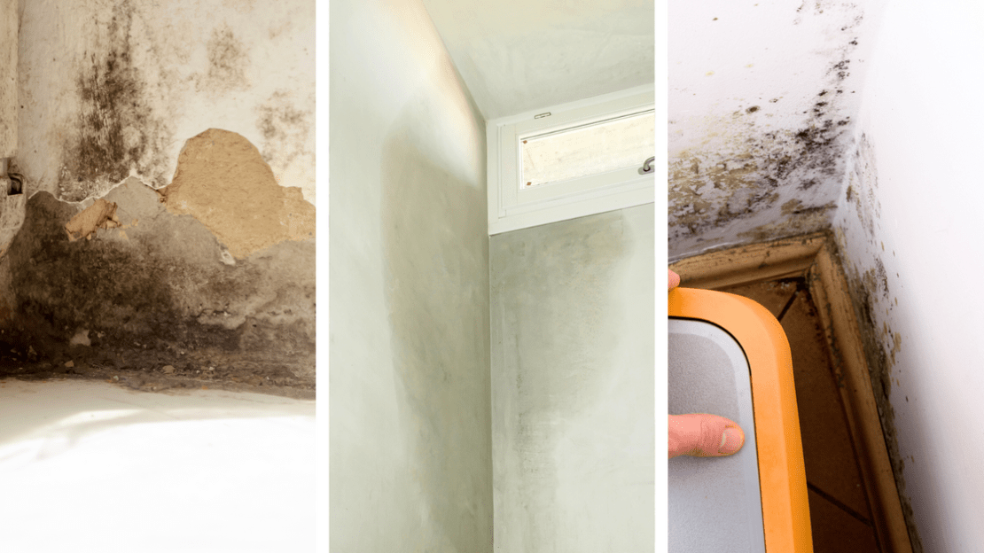 How To Spot The Signs Of Damp In Your Home: - Eco Damp Solutions