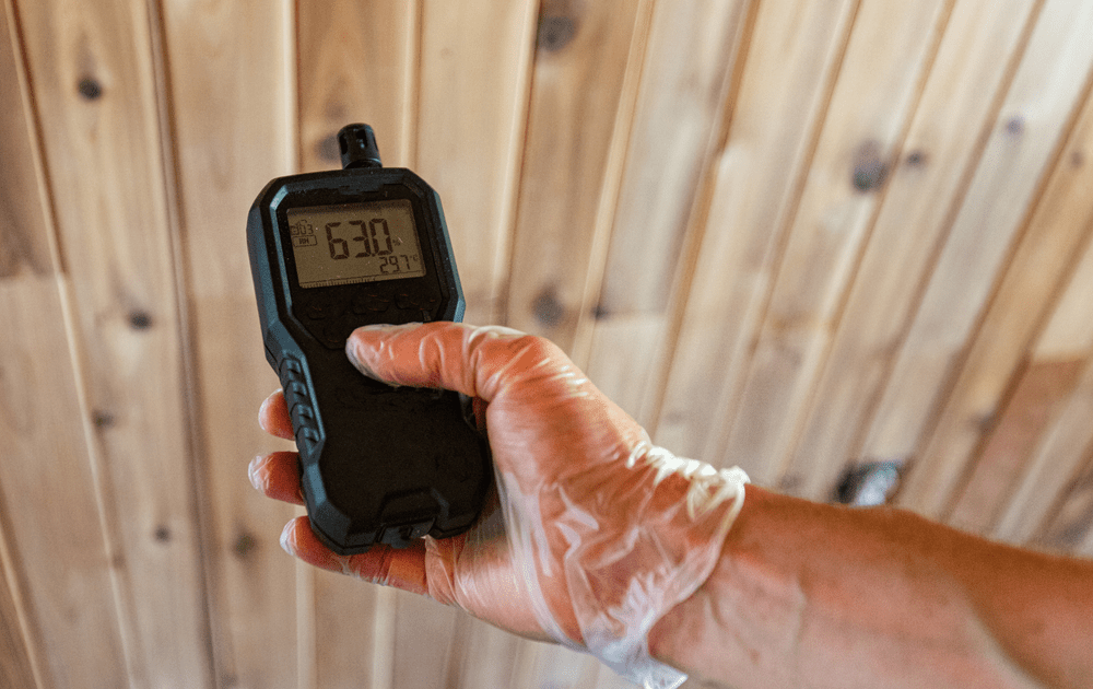 Understanding Damp: Types and Causes - Eco Damp Solutions