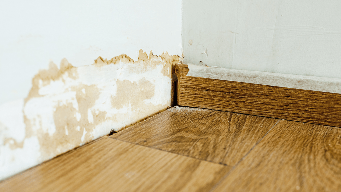 Converting Damp Basements: Overcoming Moisture Challenges - Eco Damp ...